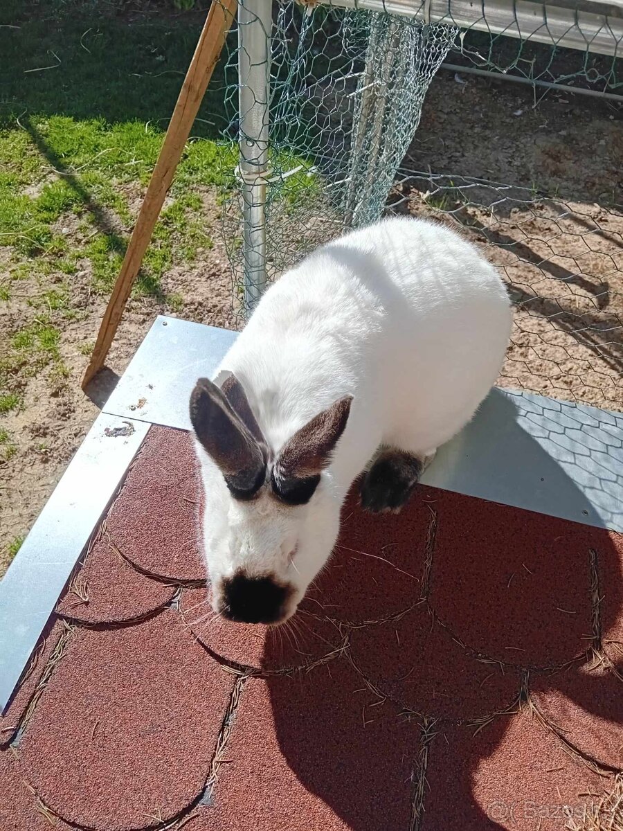 Predám - Košice-okolie | Bazoš.sk