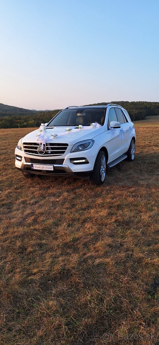 Mercedes benz ml 250d cdi w166 možná výmena - Vranov nad Topľou | Bazoš.sk