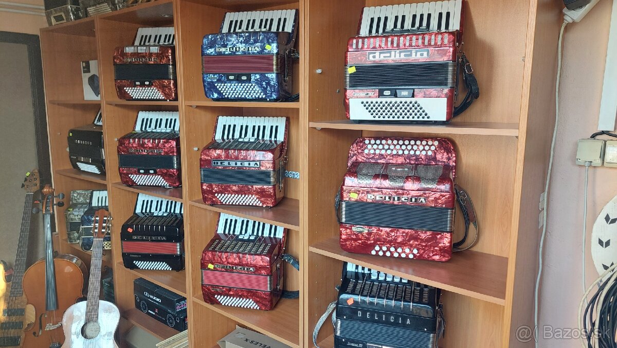 Akordeóny Delicia Junior - Nové Mesto n.Váhom | Bazoš.sk