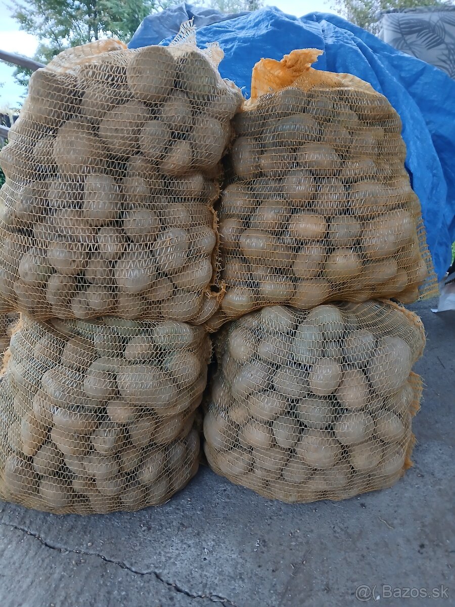 Zemiaky Agria - Senica | Bazoš.sk