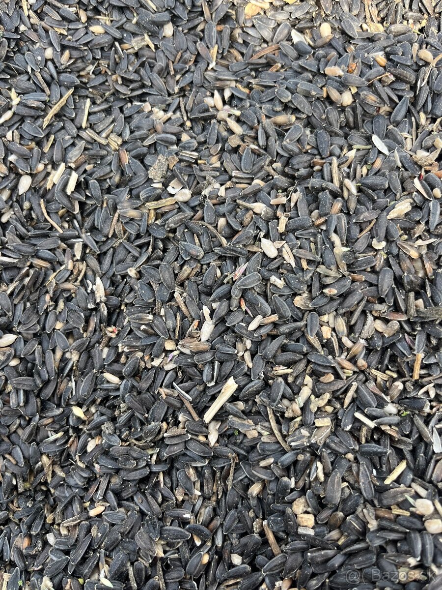 Predám Slnečnicu. - Dunajská Streda | Bazoš.sk