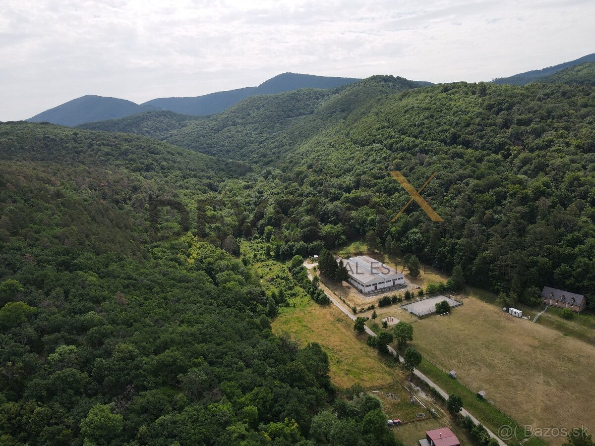 Raj pod lesom - rekreačný pozemok v obci Plavecký Peter - Malacky ...