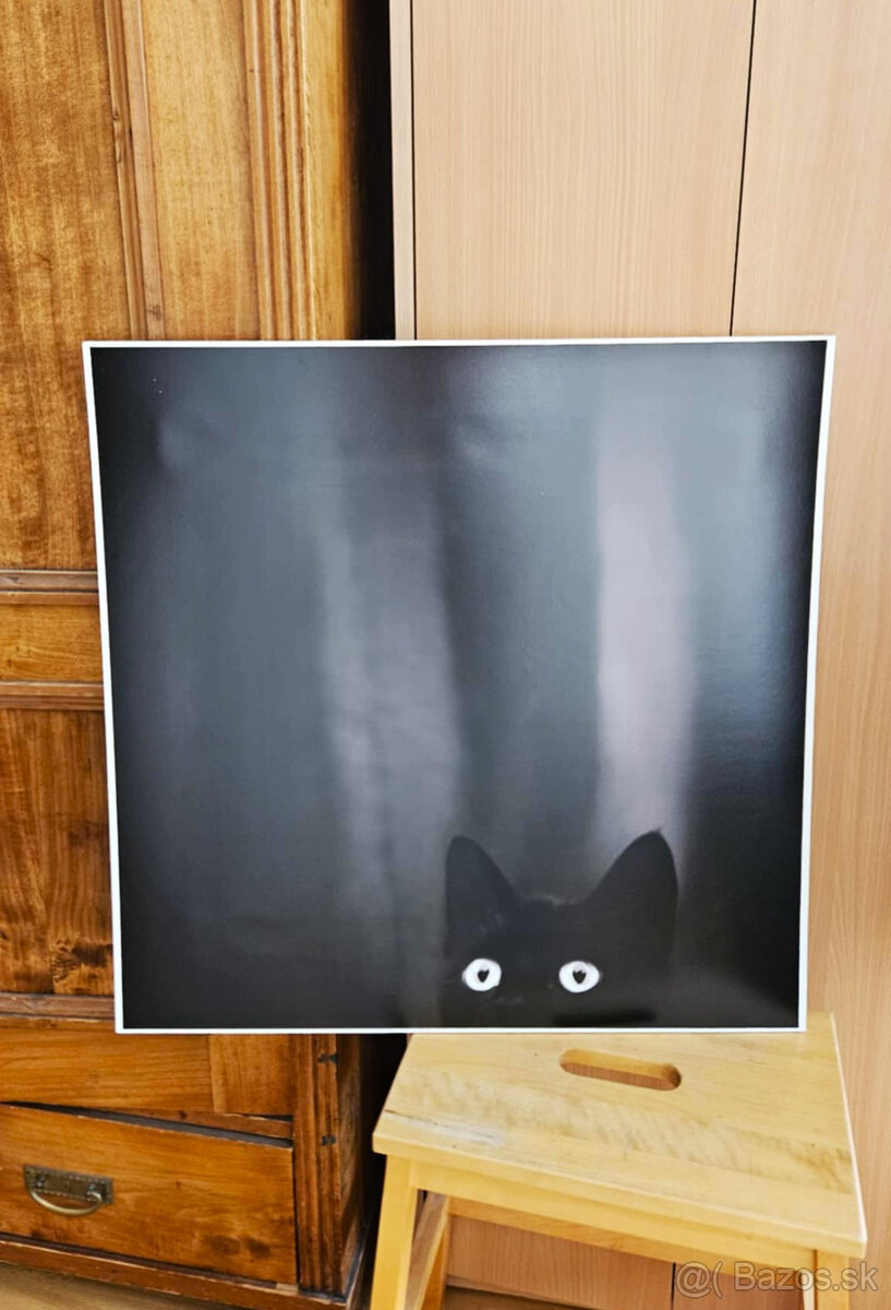 obraz cierna macka, 60x60 cm - Bratislava | Bazoš.sk