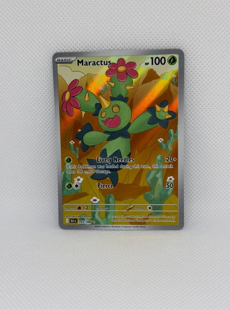 Pokémon karta Maractus 093/086 – NM – ORIGINÁL - Košice | Bazoš.sk