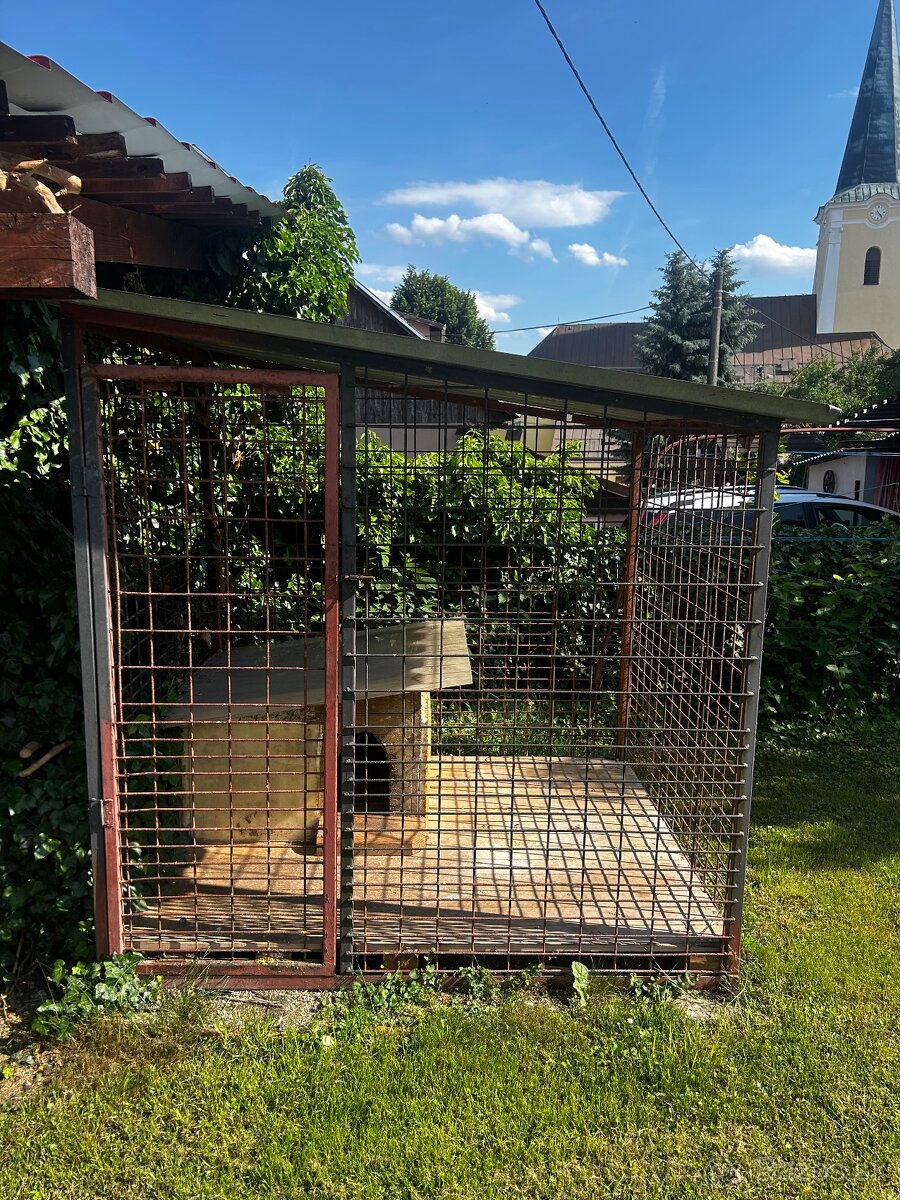 Koterec pre psa - Prešov | Bazoš.sk