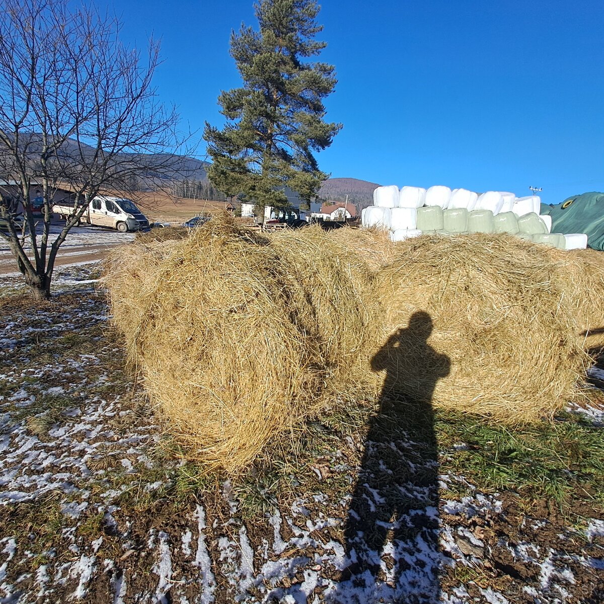 Seno - Bratislava | Bazoš.sk