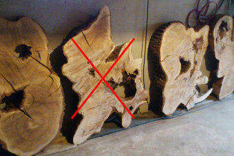 Unikátne priečne rezy/koláče DUB - vzduchosuché - ťažba 2019 - Prešov ...