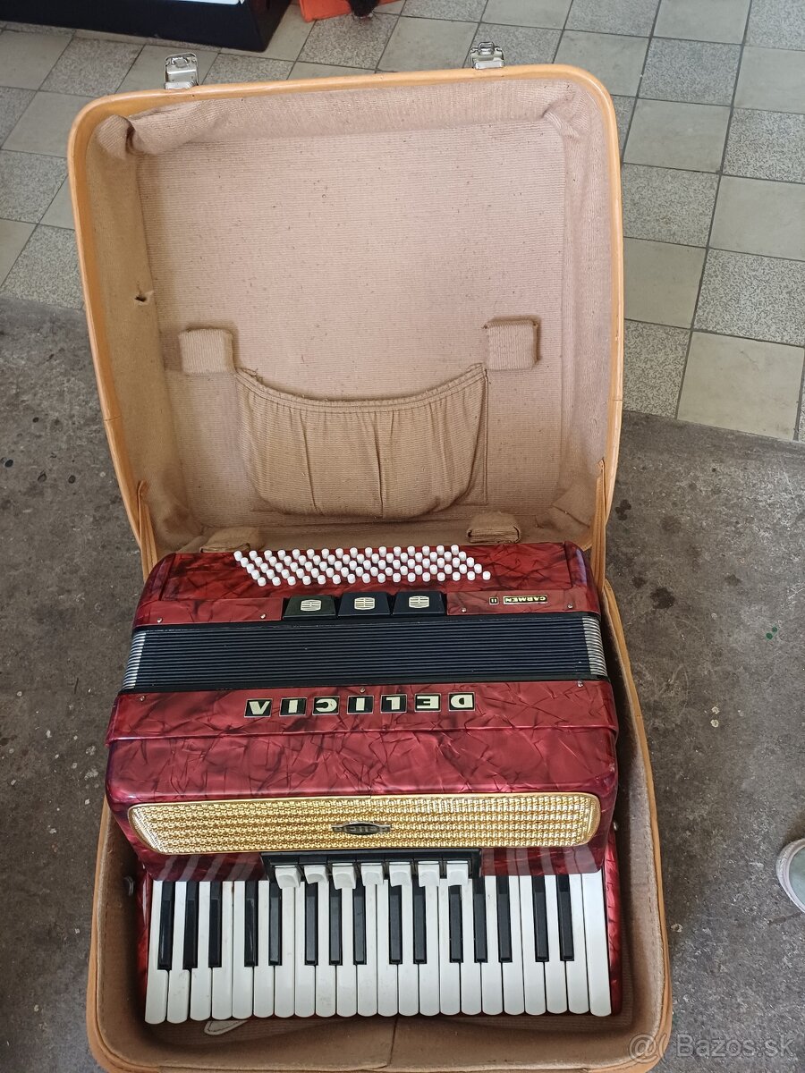 Acordeon Delicia 80 - Žilina | Bazoš.sk