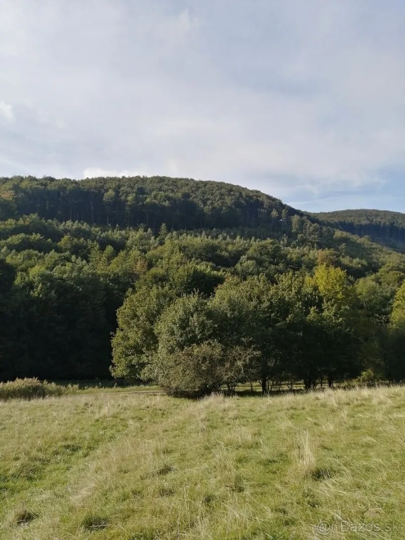Ponúkam do nájmu lesné pozemky. - Prievidza | Bazoš.sk
