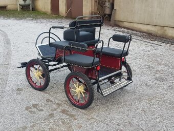 Maraton za malé kone Shetlandy - Česká republika | Bazoš.sk