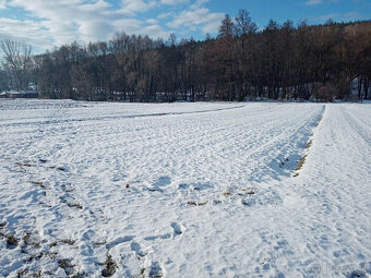 Exkluzívna ponuka rovinatého pozemku v obci Malé Hoste - 978 - Bánovce ...