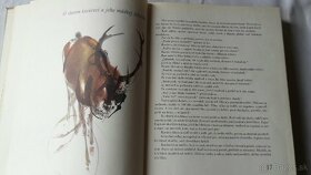Rozprávky o zvieratkách z celého sveta. 1976 360 strán - Rožňava | Bazoš.sk