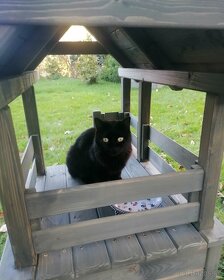 Domček pre macky - Martin | Bazoš.sk