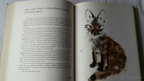 Rozprávky o zvieratkách z celého sveta. 1976 360 strán - Rožňava | Bazoš.sk