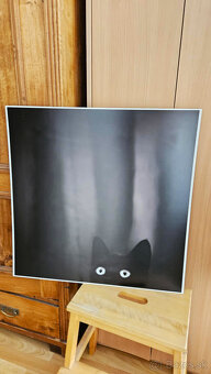 obraz cierna macka, 60x60 cm - Bratislava | Bazoš.sk