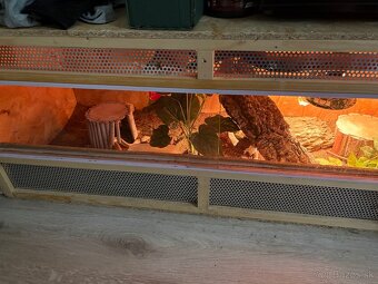 Velhad Královský - Galanta | Bazoš.sk