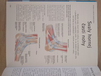 Atlas ľudského tela Profesor Peter Abrahams - Námestovo | Bazoš.sk